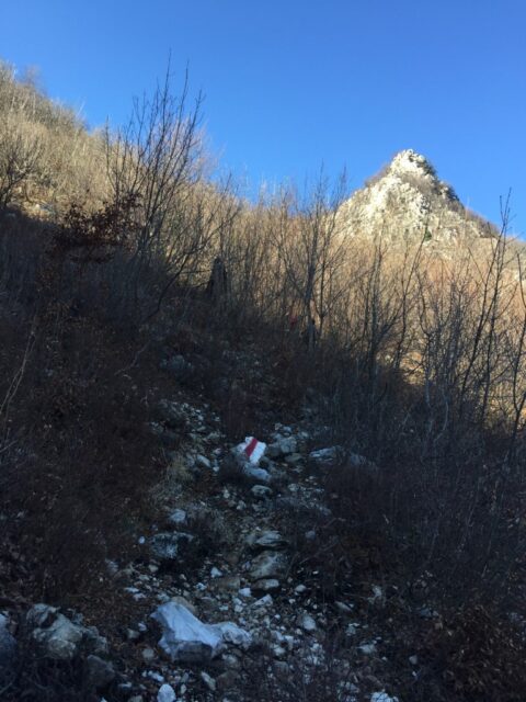 Mt. Gamti - Group Tour - Expats in Albania